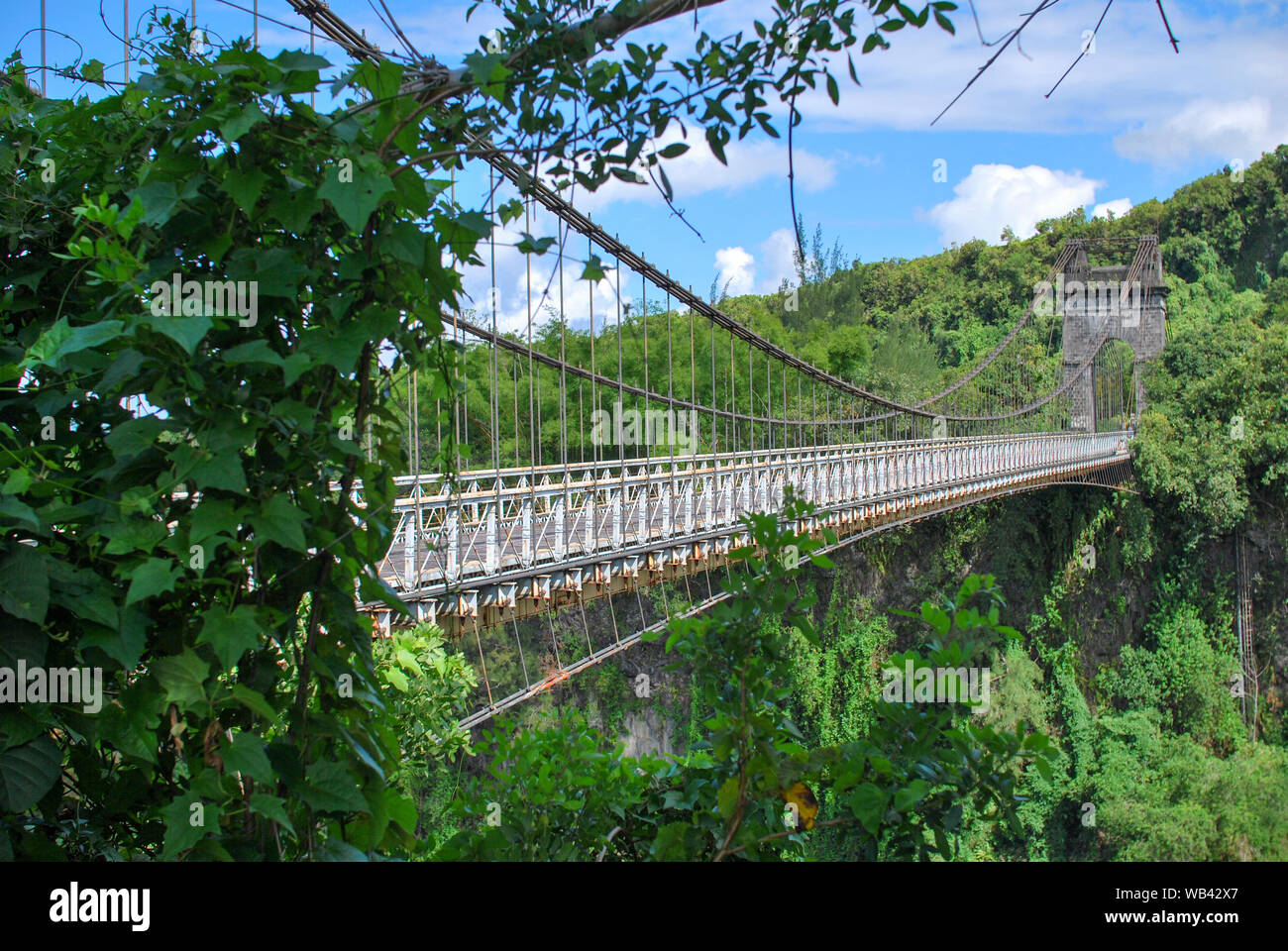 suspended bridge on la reunion island Stock Photo - Alamy
