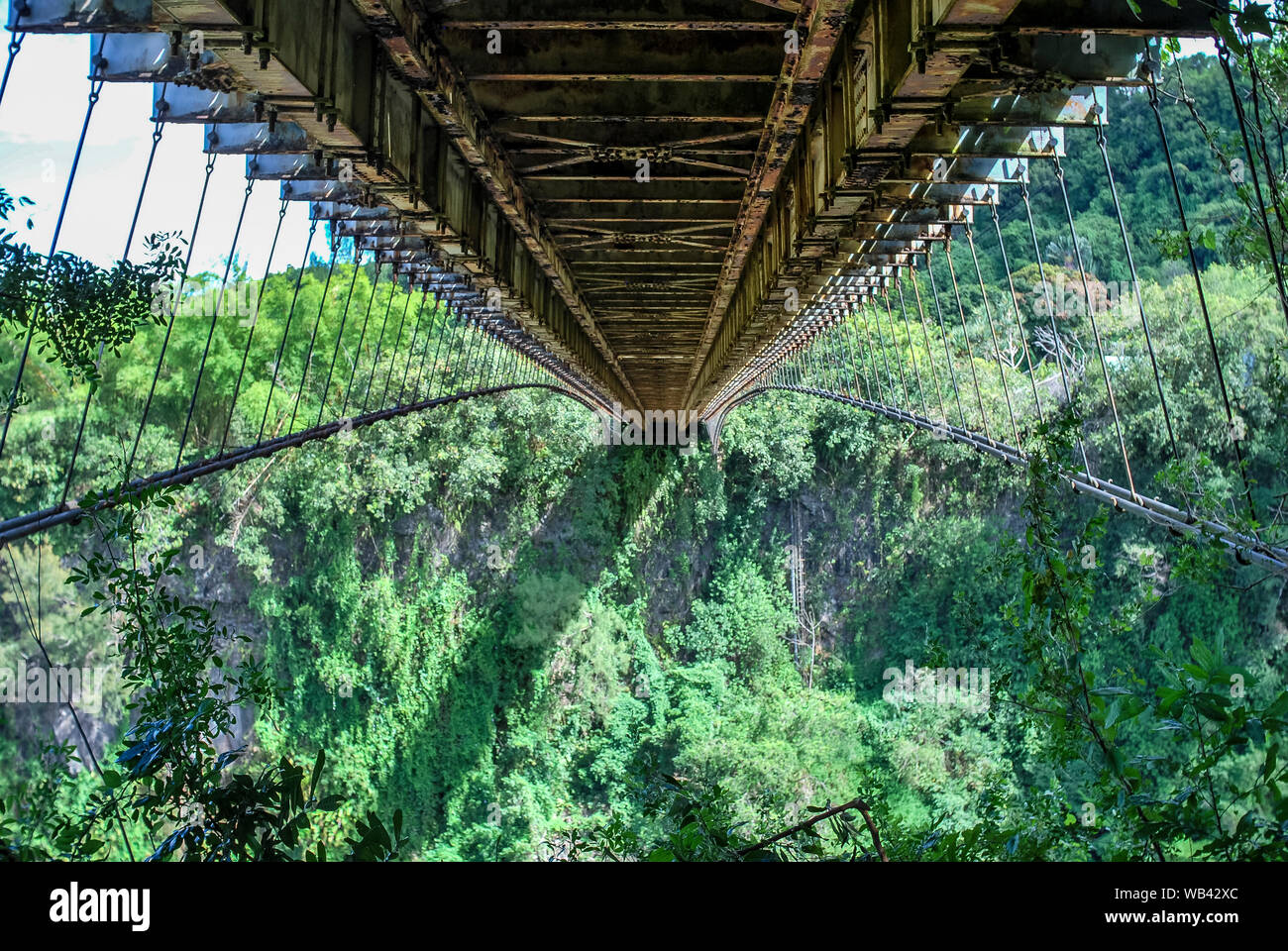 suspended bridge on la reunion island Stock Photo - Alamy