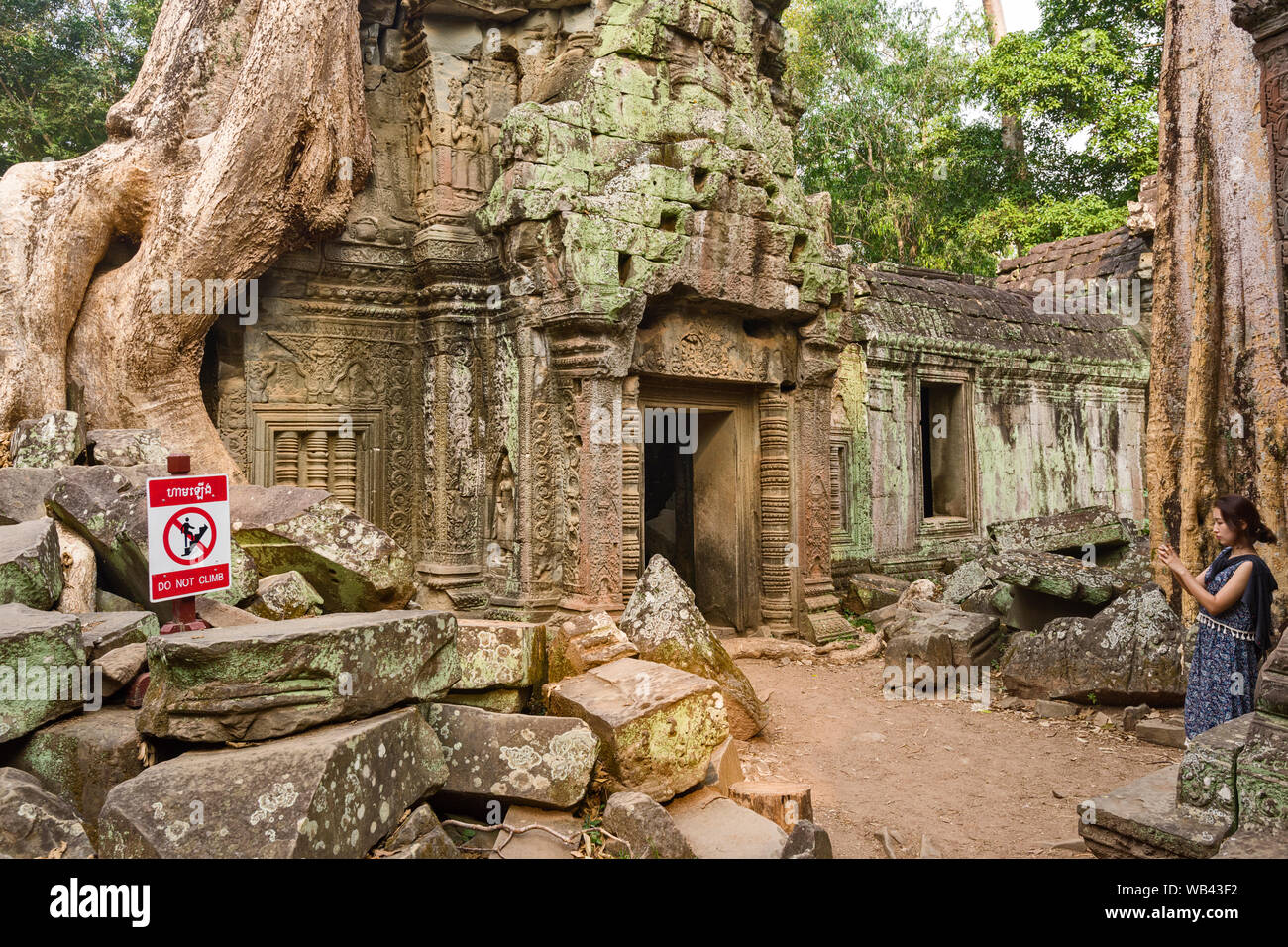 gigantic roots over intricately carved stone in Ta Prohm temple in Siem ...