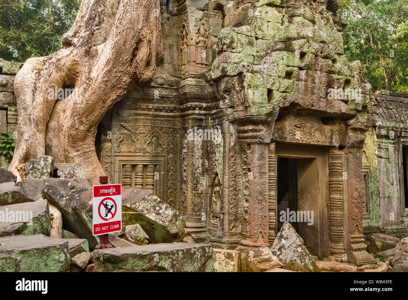 Spung tree hi-res stock photography and images - Alamy