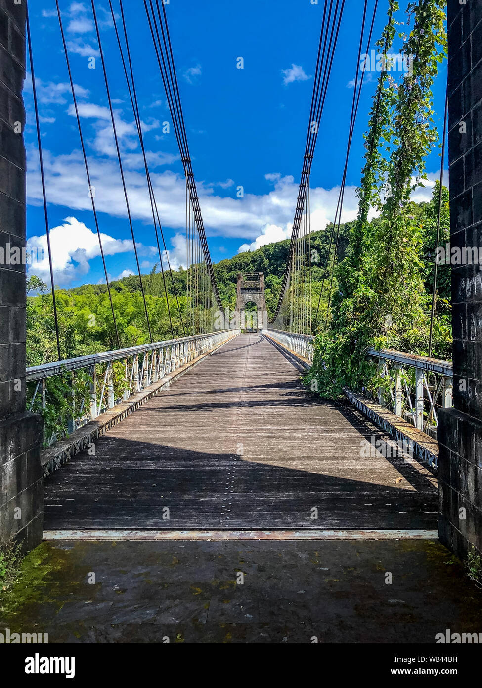 suspended bridge on la reunion island Stock Photo - Alamy