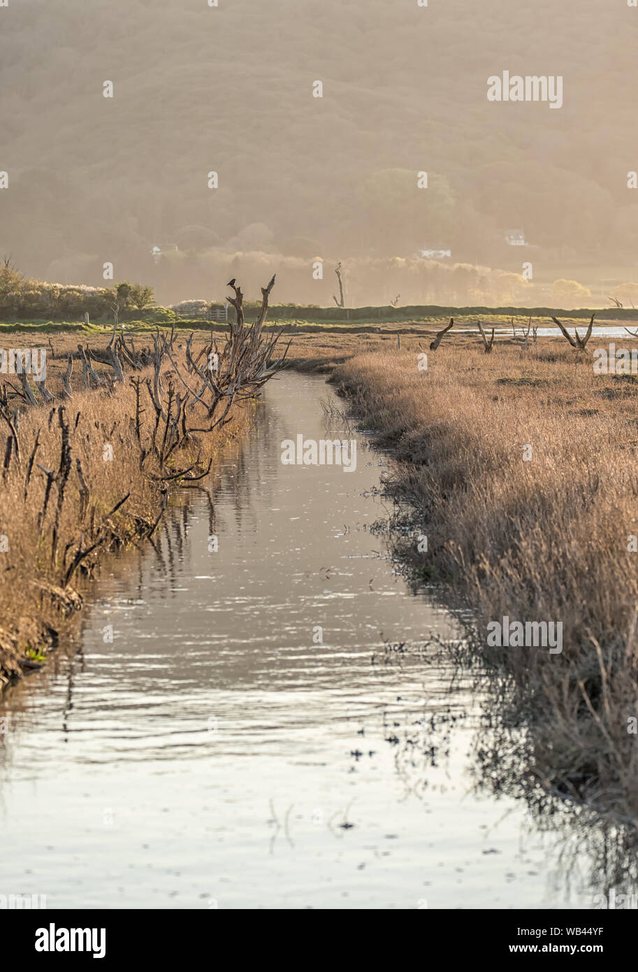 Porlock weir and spring hi-res stock photography and images - Alamy