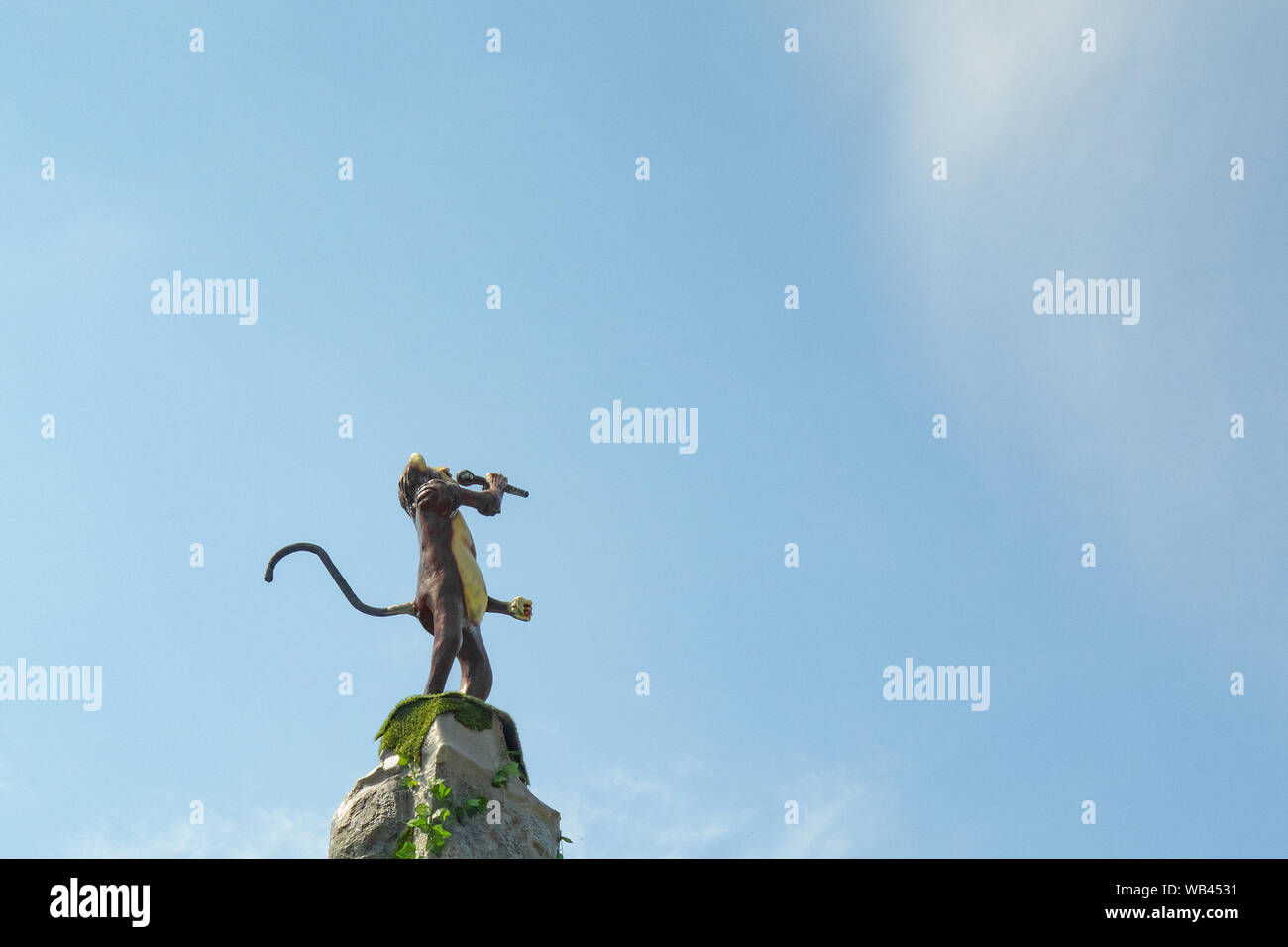 Brass monkey band hi-res stock photography and images - Alamy