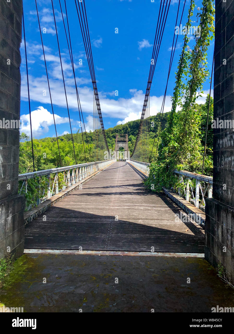 suspended bridge on la reunion island Stock Photo - Alamy