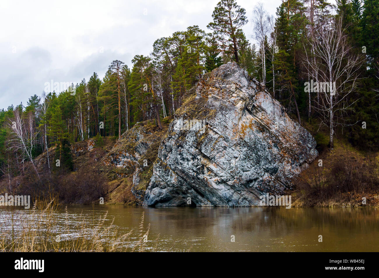 river bank with limestone cliffs overgrown with pine forest in early ...