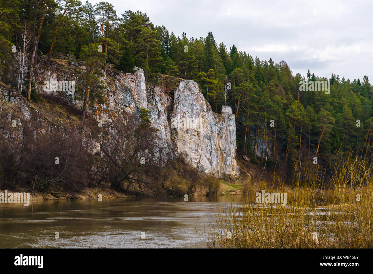 river bank with limestone cliffs overgrown with pine forest in early ...