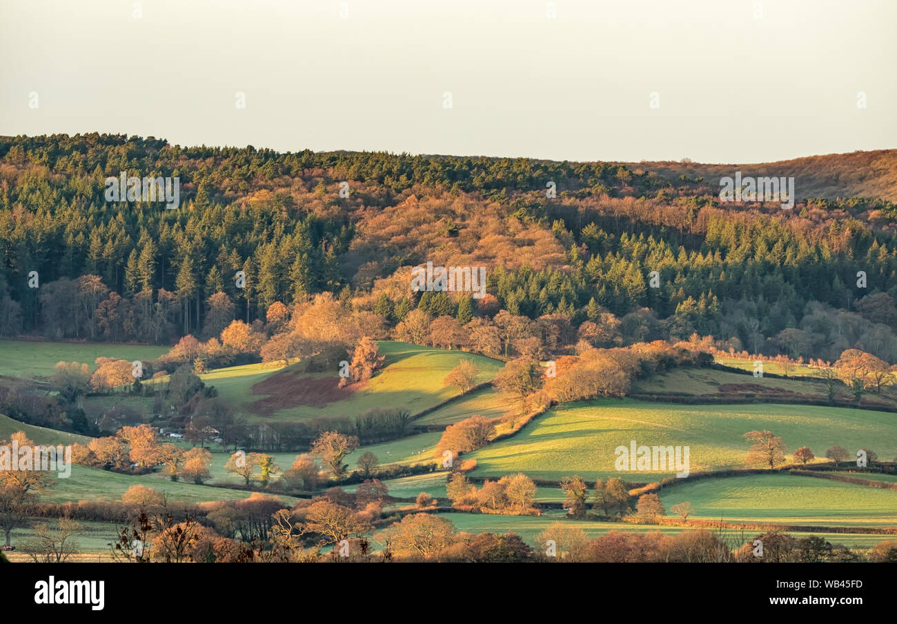 Luccombe Farm High Resolution Stock Photography and Images - Alamy