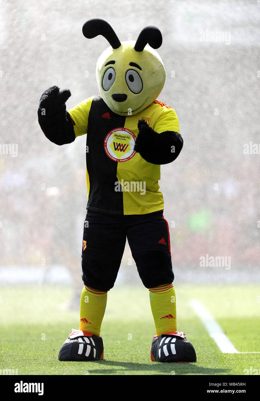 Harry the hornet watford hi-res stock photography and images - Alamy