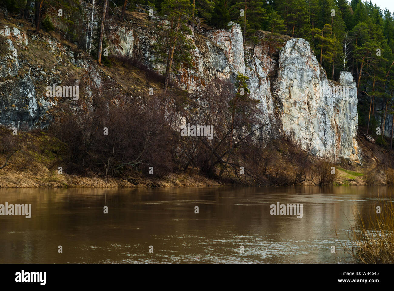 river bank with limestone cliffs overgrown with pine forest in early ...