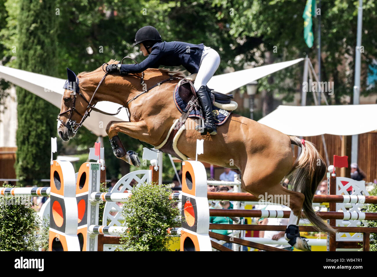 JESSICA SPRINGSTEEN during 87° Csio Piazza Of Siena Roma 2019 - Premio ...