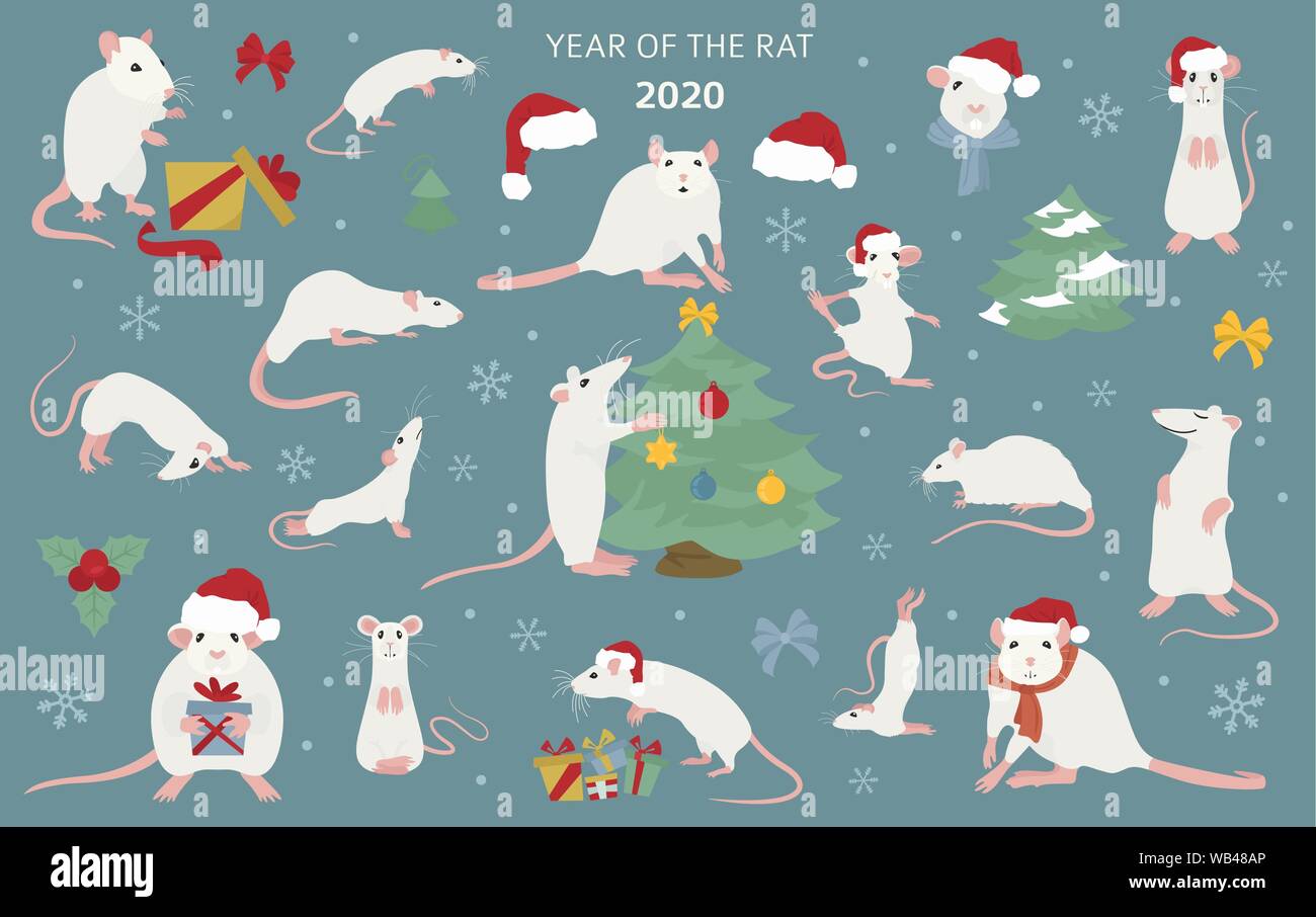 Different rats christmas collection. Rat poses and exercises. Cute ...