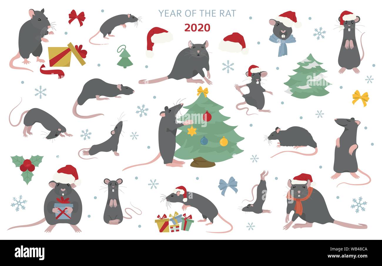 Different rats christmas collection. Rat poses and exercises. Cute ...