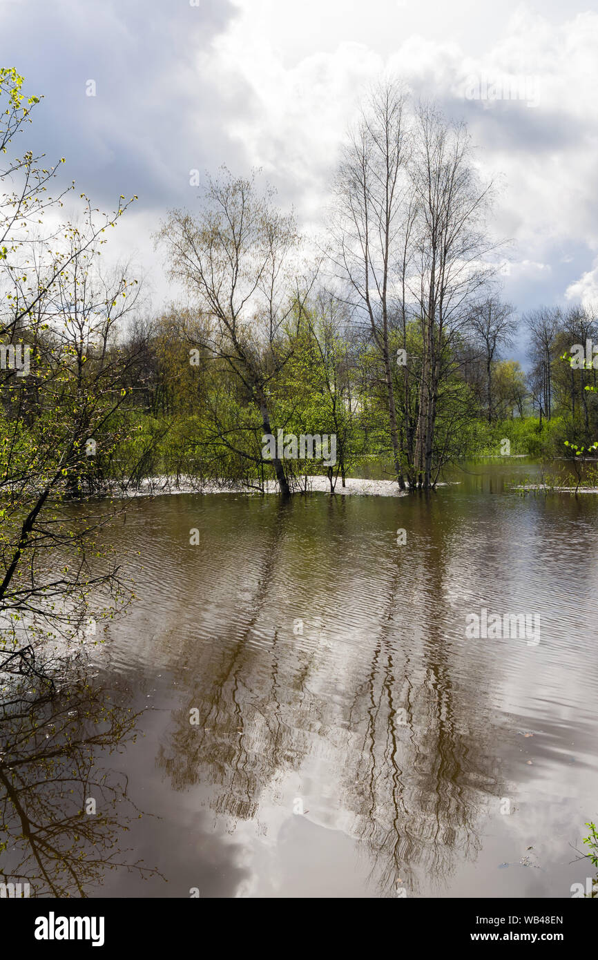 landscape - spring grove of trees flooded during high water Stock Photo ...