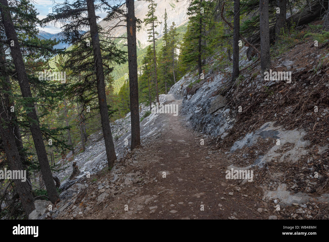 Ha ling peak near canmore hi-res stock photography and images - Alamy