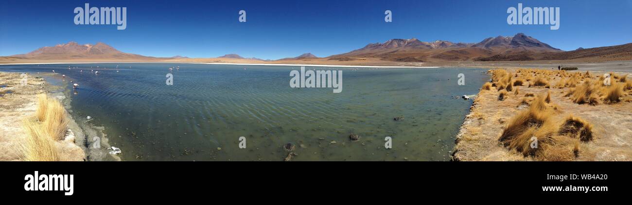 Salar de Uyuni, amid the Andes in southwest Bolivia Stock Photo - Alamy