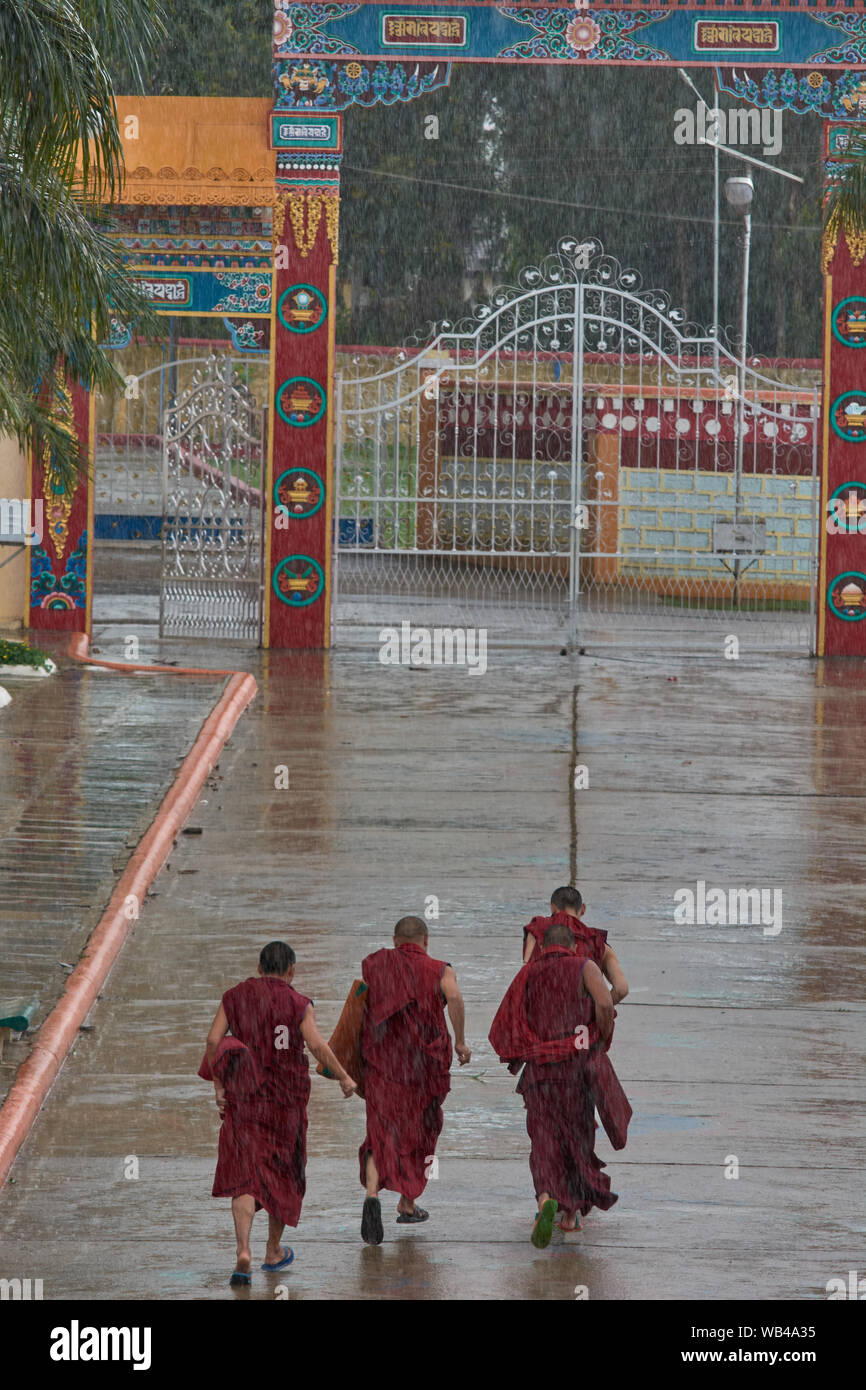 12-june-2013 buddhist monk running for shelter frome rain Shar Gaden ...