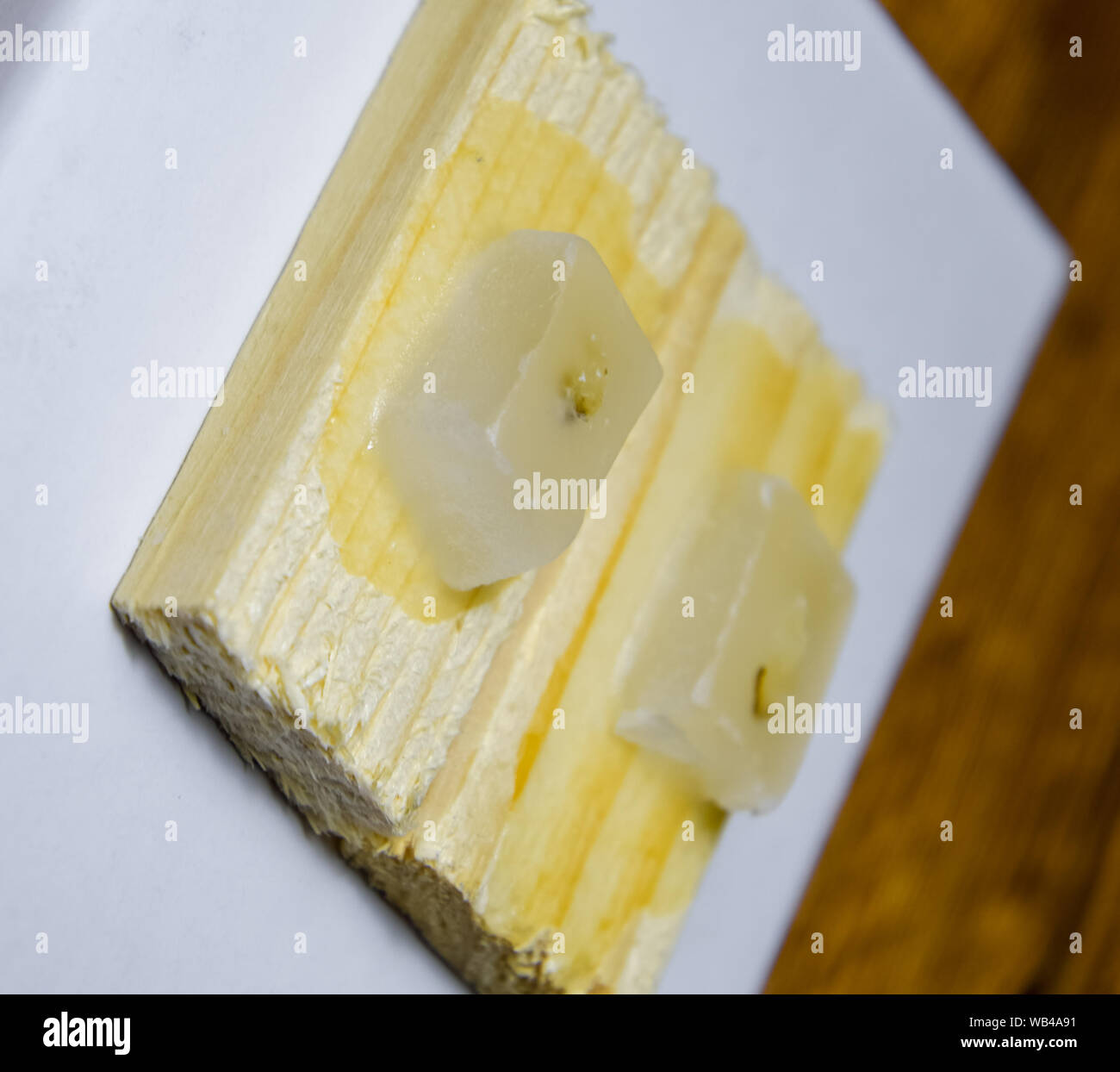 Paraffin blocks with cancer samples, samples for histological ...