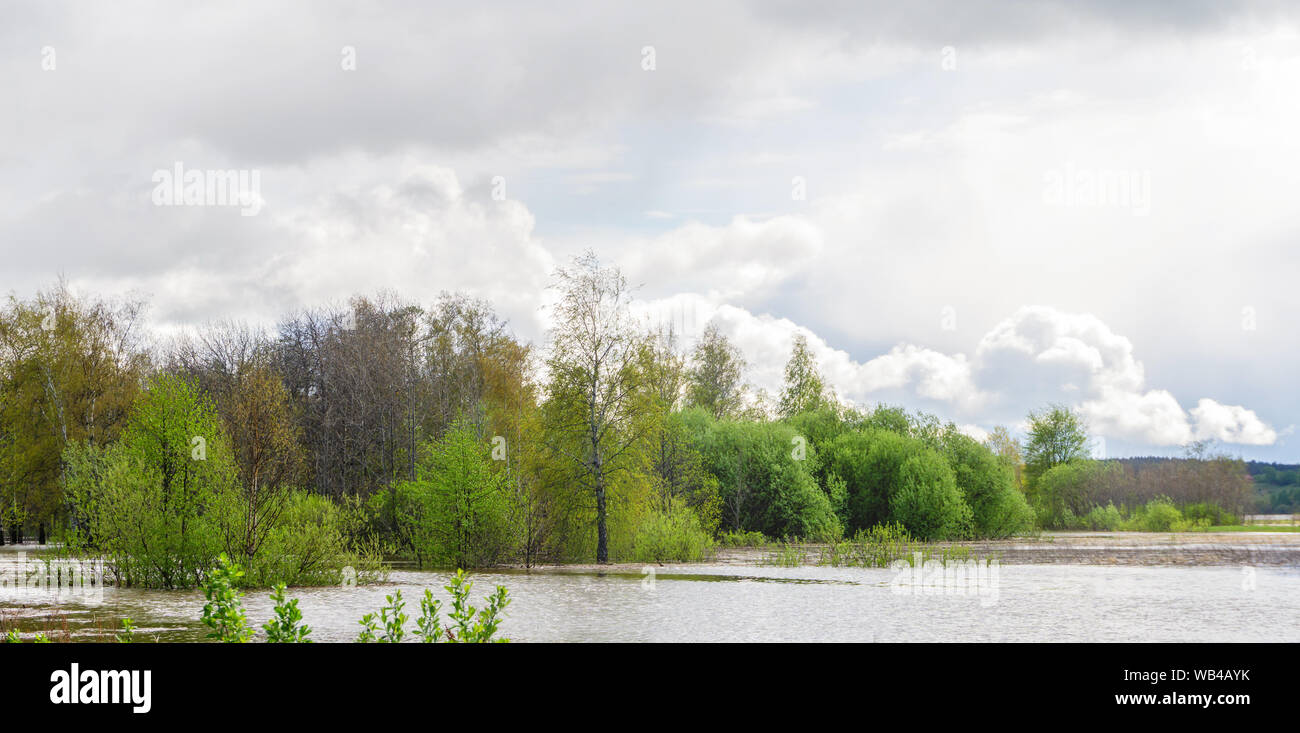 landscape - spring grove of trees flooded during high water Stock Photo ...