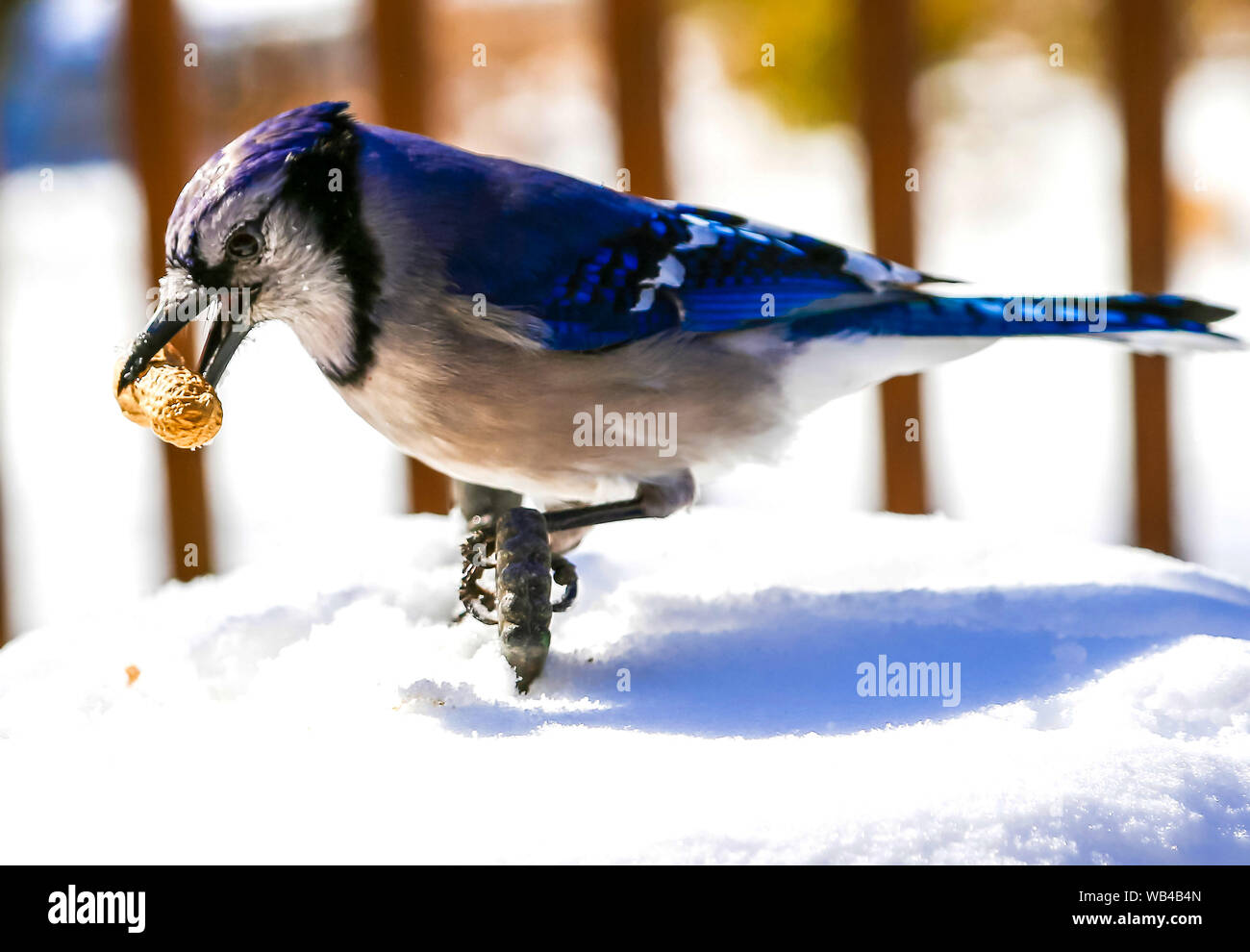 Cold feet hi-res stock photography and images - Alamy
