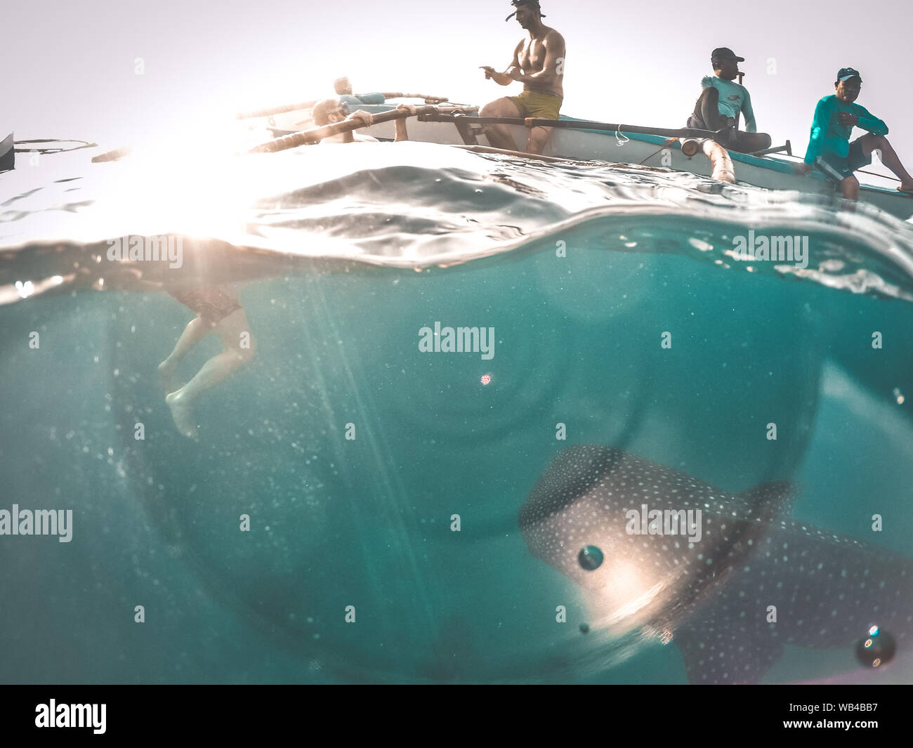 Whale shark watching off the scenic coast of Oslob, Cebu, Philippines ...