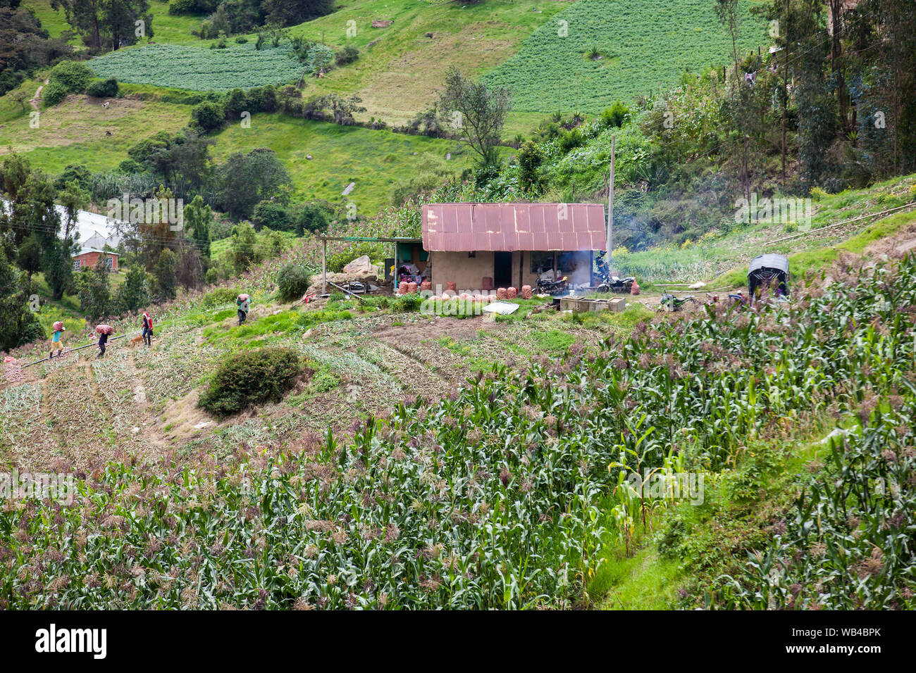 Potato Lumps High Resolution Stock Photography and Images - Alamy