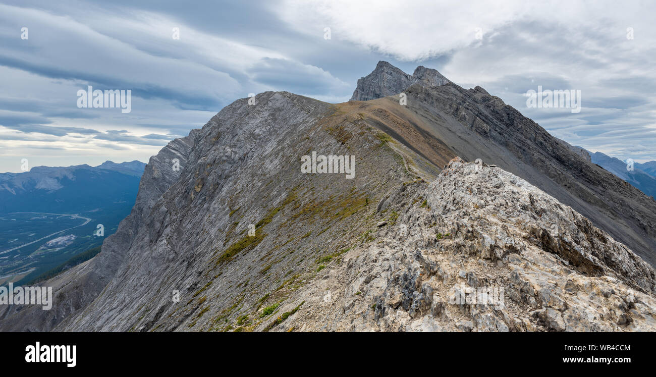 Lawrence grassi hi-res stock photography and images - Alamy