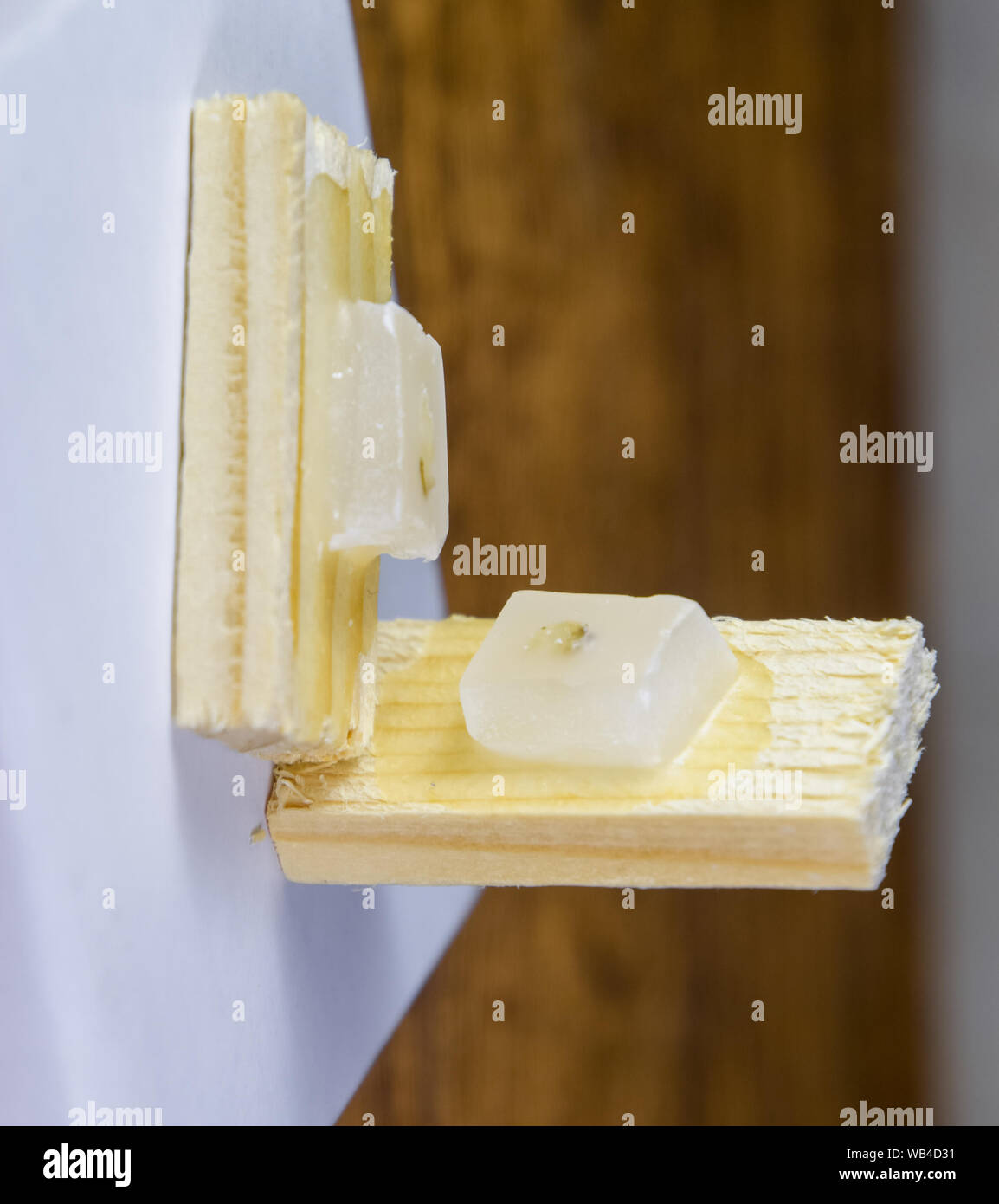 Paraffin blocks with cancer samples, samples for histological ...