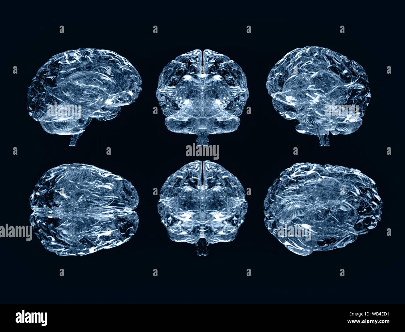 Multiple intelligence human brain hi-res stock photography and images ...