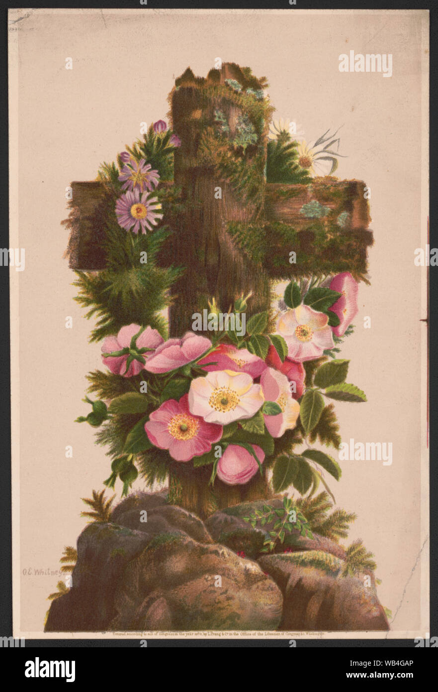 1 5 x 18 2 cm hi-res stock photography and images - Alamy