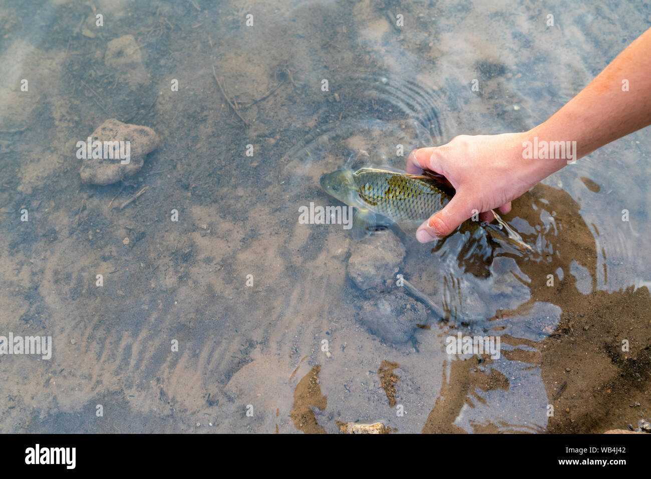 Fisherman releasing fish hi-res stock photography and images - Alamy
