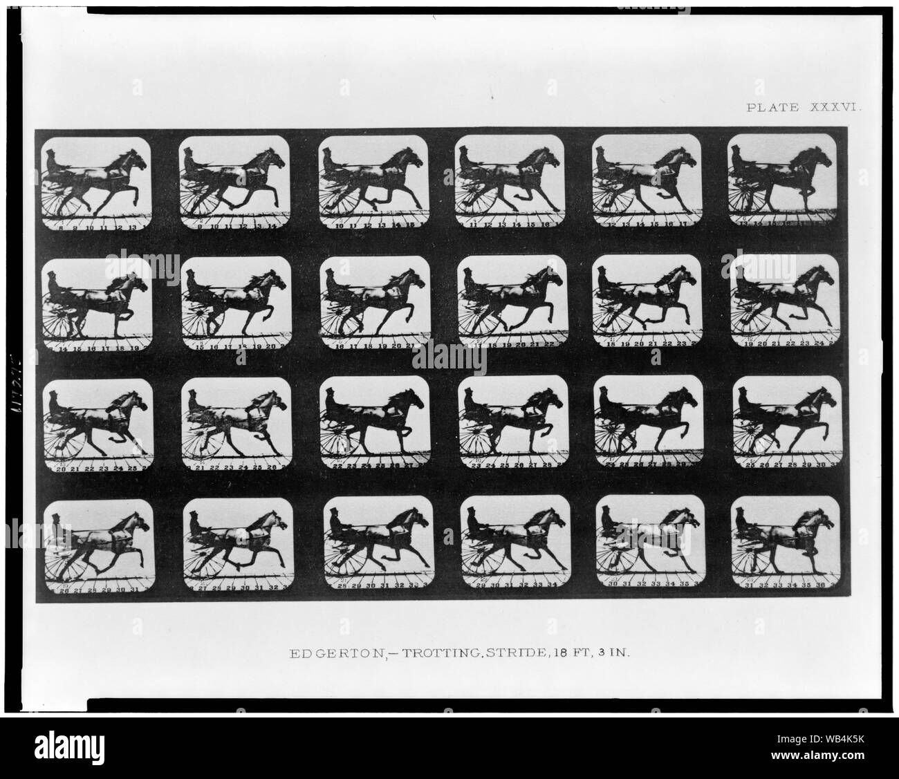 Heliotype hi-res stock photography and images - Alamy