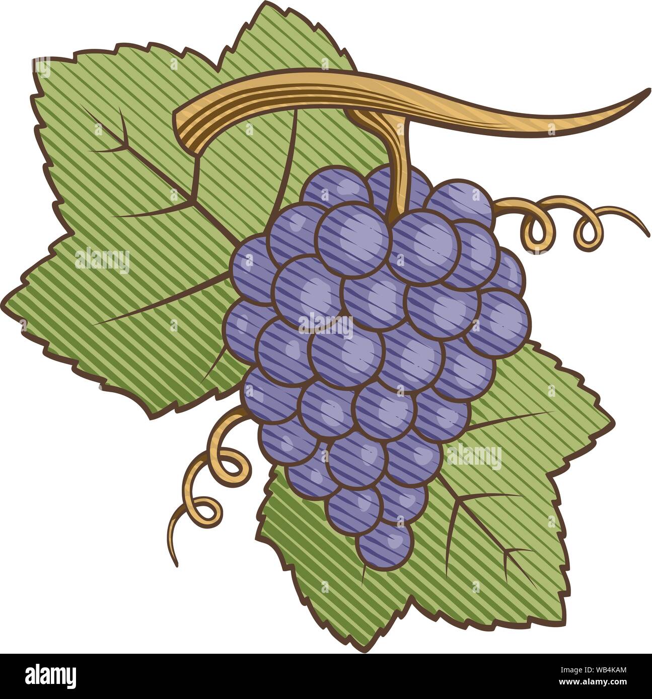 Engraving purple Cut Out Stock Images & Pictures - Alamy