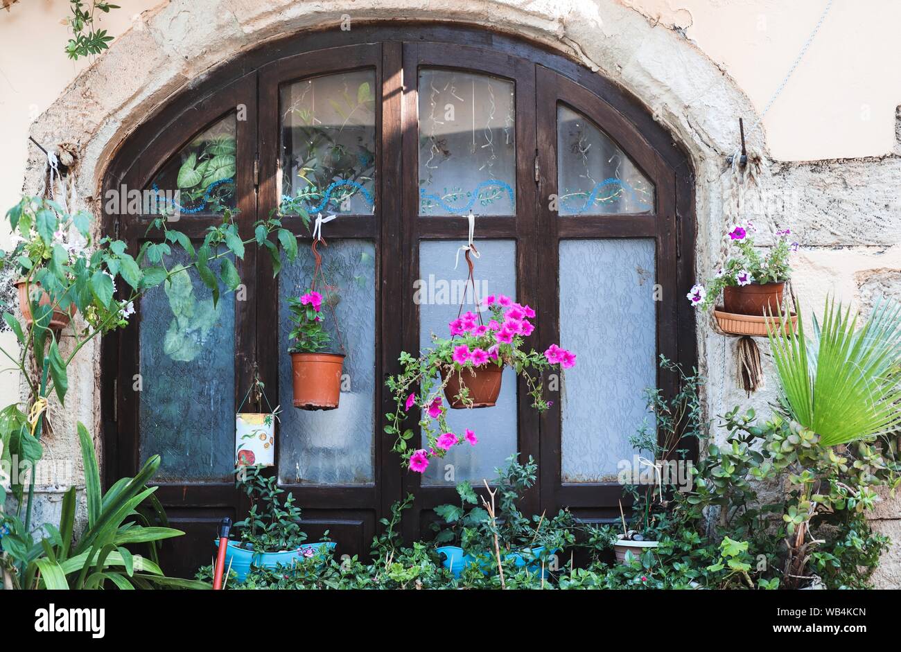 A rustic wooden window is surrounded by plant pots and flowers in a ...