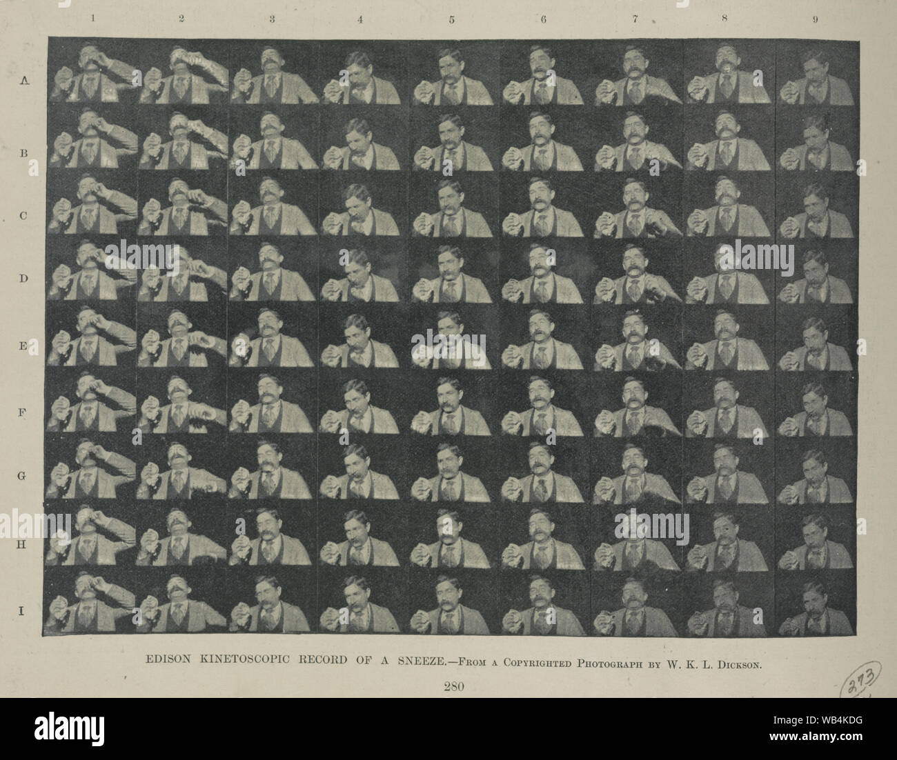 L 10 x w 1 inches hi-res stock photography and images - Alamy