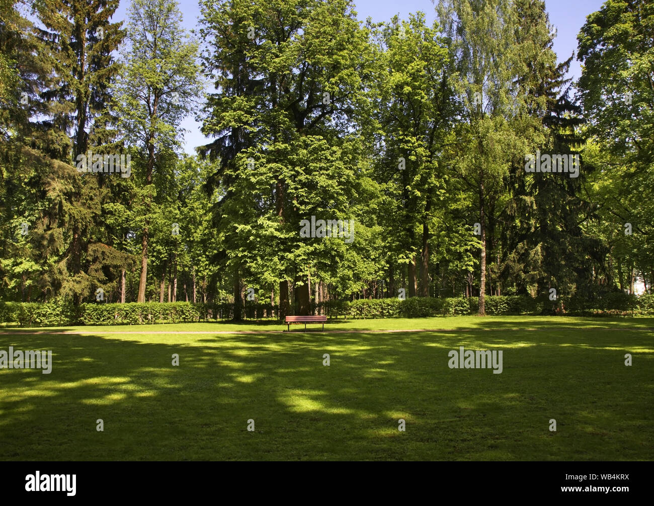 Field of Mars in Ostafyevo park near Podolsk. Russia Stock Photo - Alamy