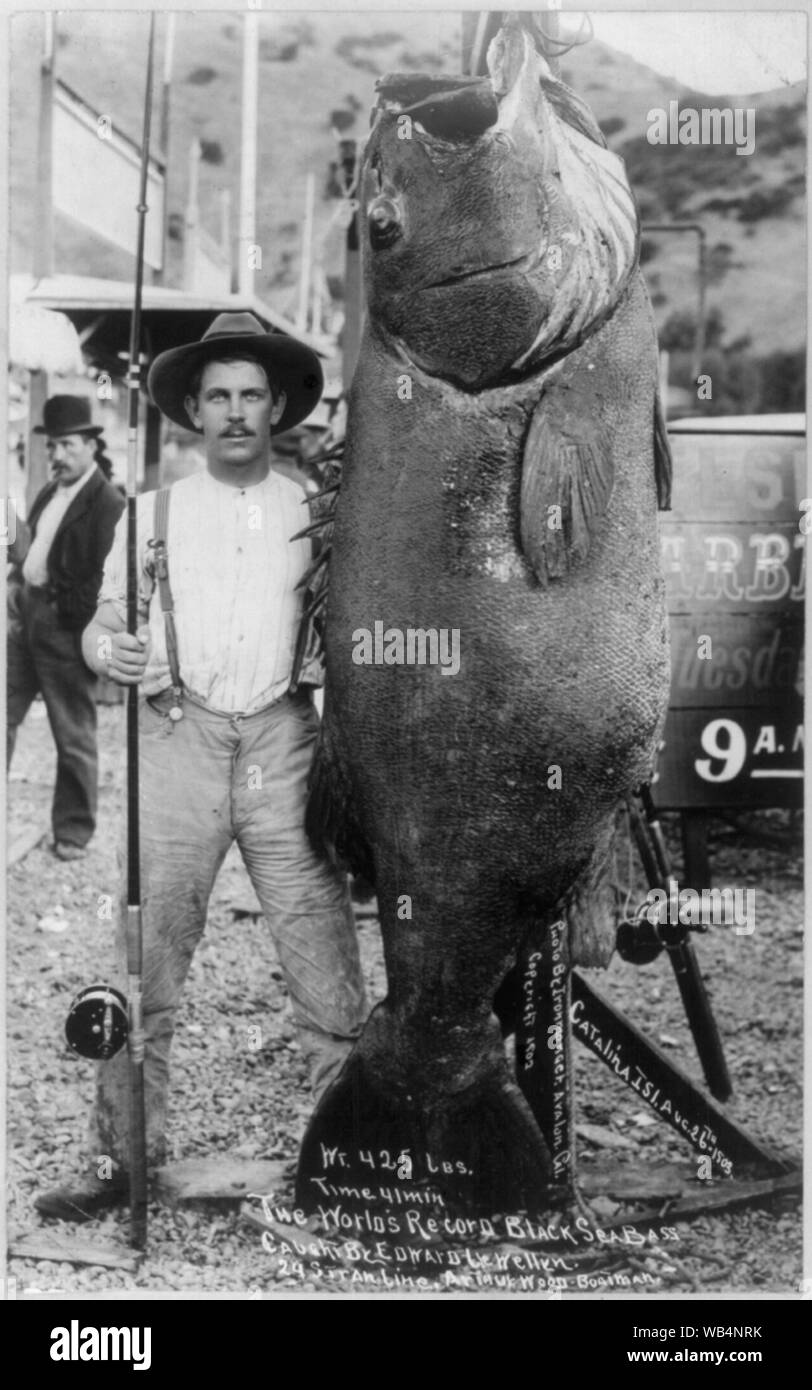 Edward bass hi-res stock photography and images - Alamy