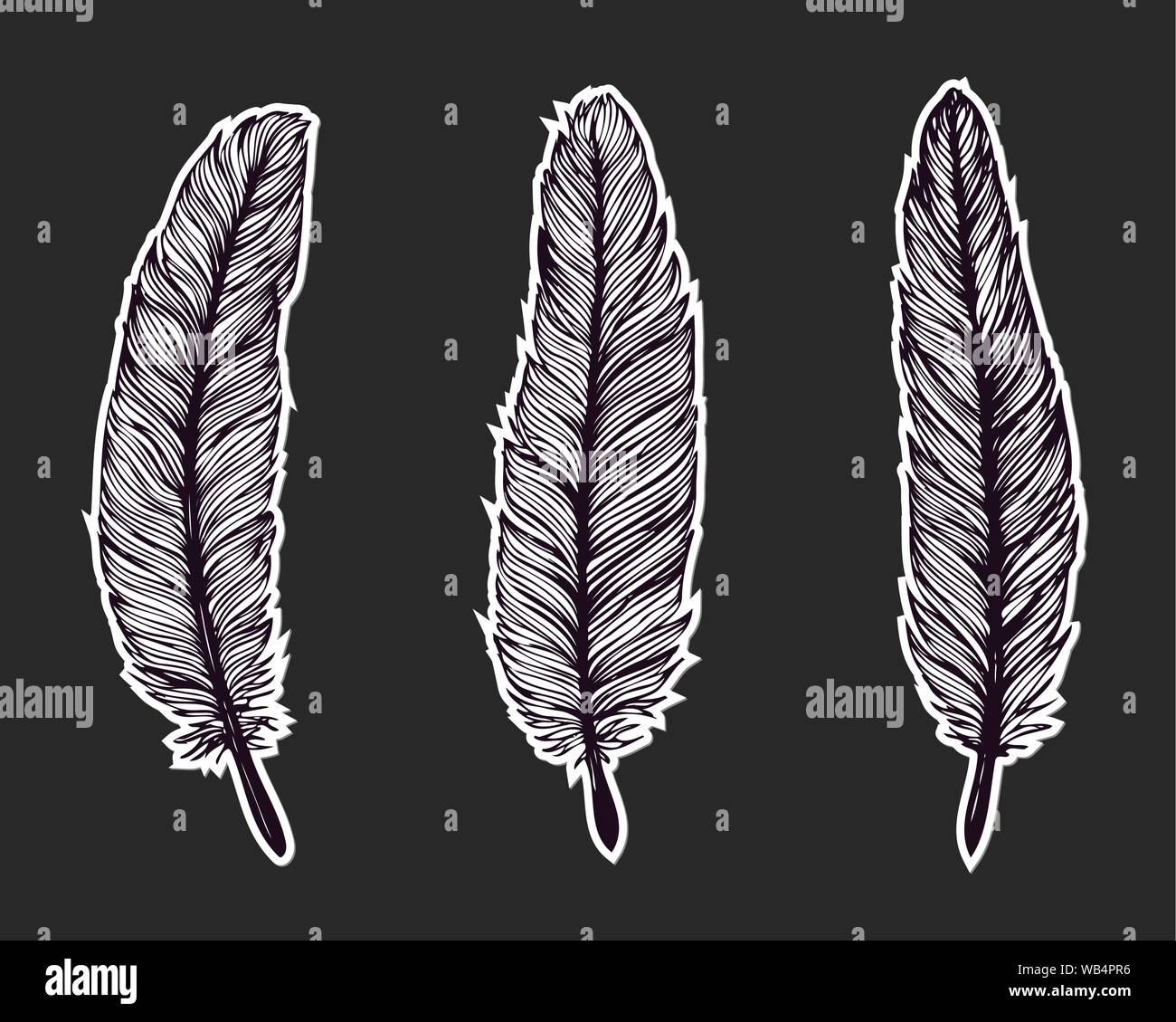 Hand drawn feather isolated on black background. Feather set ...