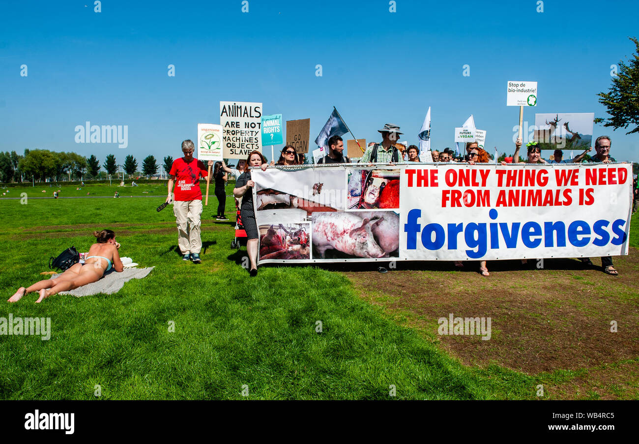 Animal rights banner hi-res stock photography and images - Alamy