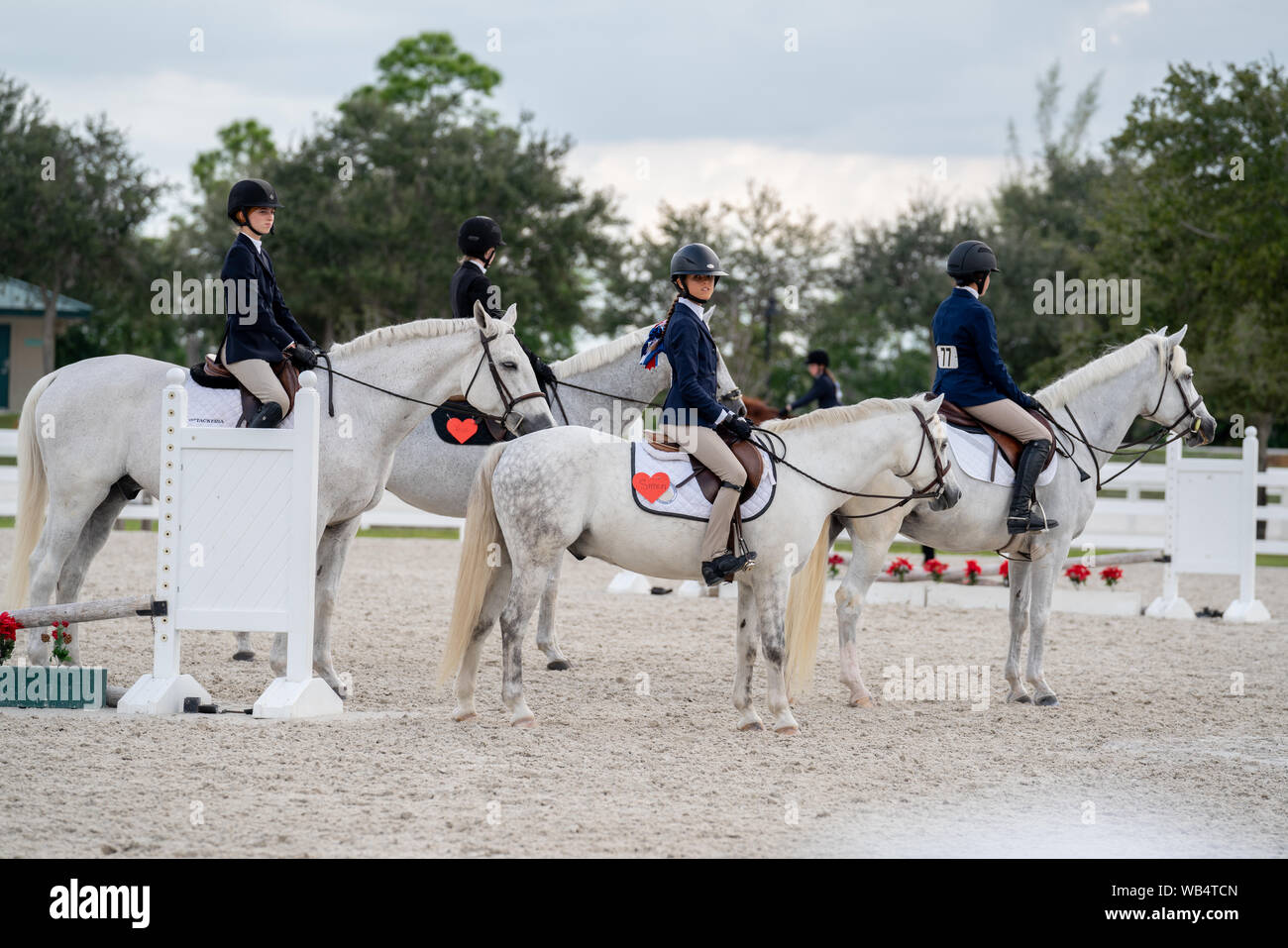 Show horses hi-res stock photography and images - Alamy