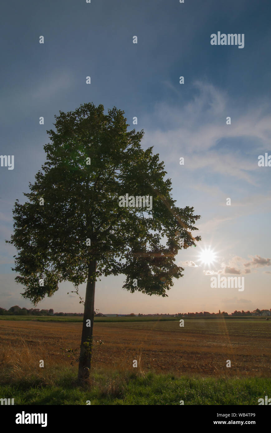 Poetic setting hi-res stock photography and images - Alamy