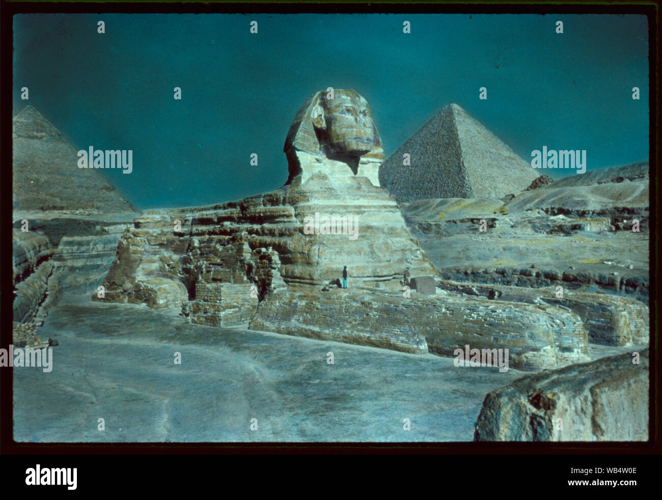 Egypt. Pyramids. The Sphinx and pyramid, from low viewpoint looking up ...