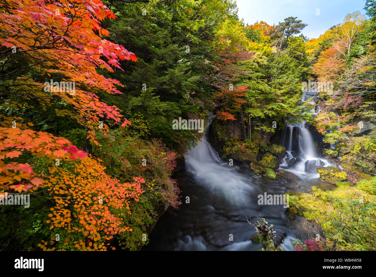 Autumn fall forest at Ryuzu waterfall at Nikko Tochigi Japan Stock ...