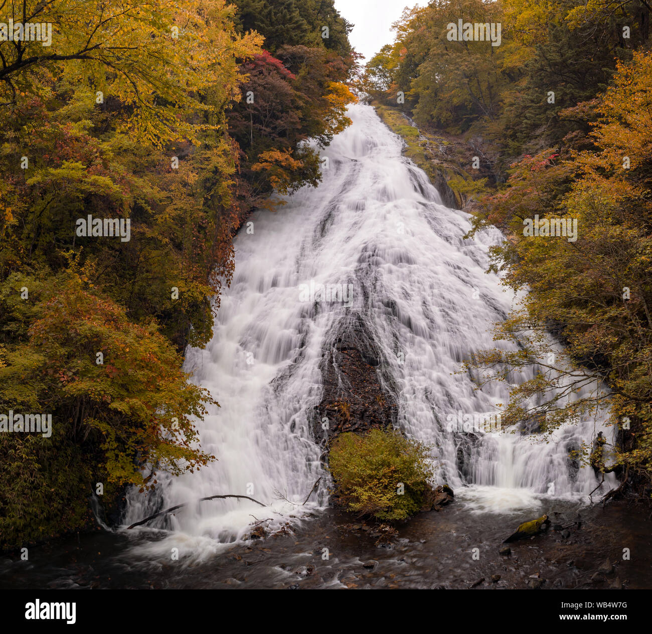 Autumn fall forest at Yudaki Falls at Nikko Tochigi Japan Stock Photo ...