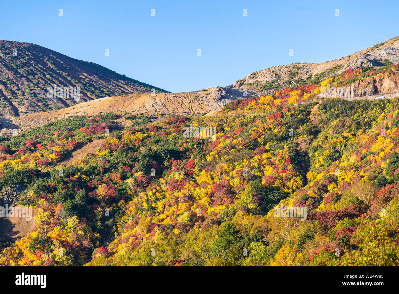 Autumn fall foliage Mountain at Bandai Azuma Skyline at Mt.Bandai in ...