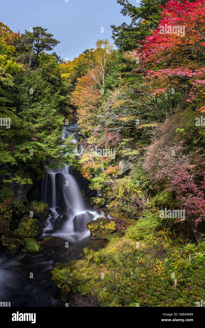 Autumn fall forest at Ryuzu waterfall at Nikko Tochigi Japan Stock ...