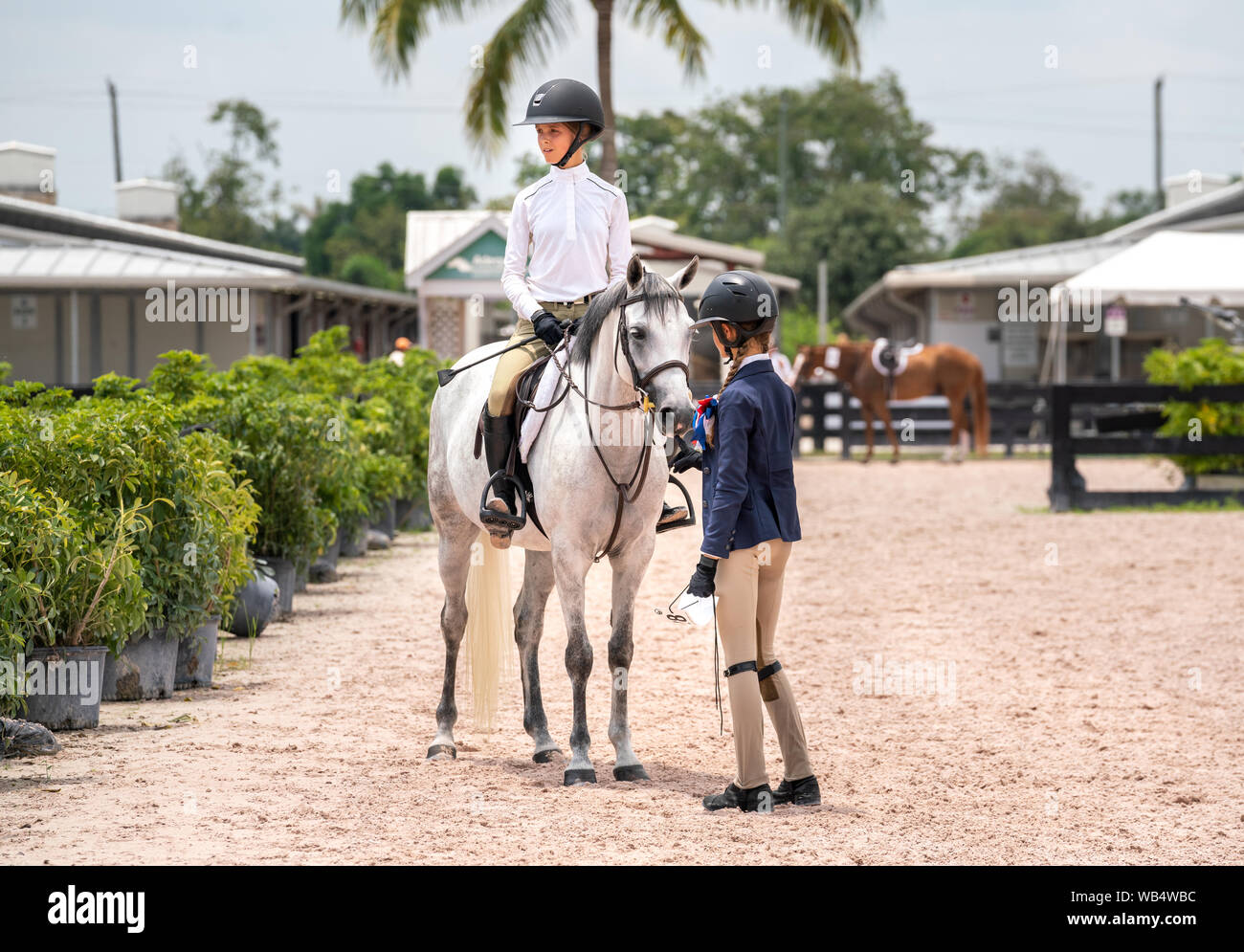A young equestrian is supporting and encouraging another rider of the ...
