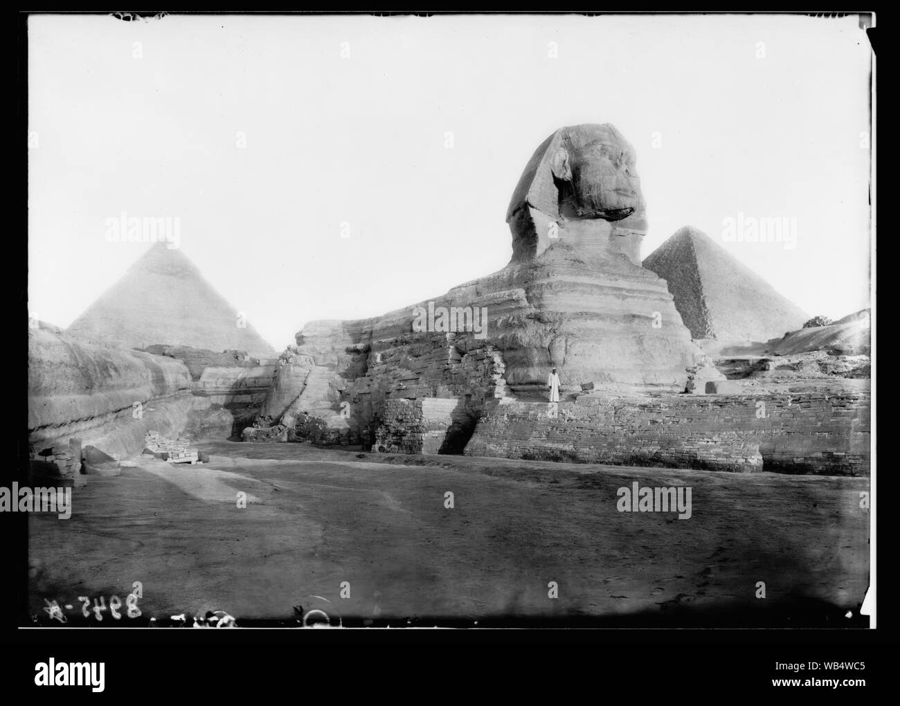 Egypt. Sphinx & pyramids. The Sphinx showing two pyramids in backgr ...