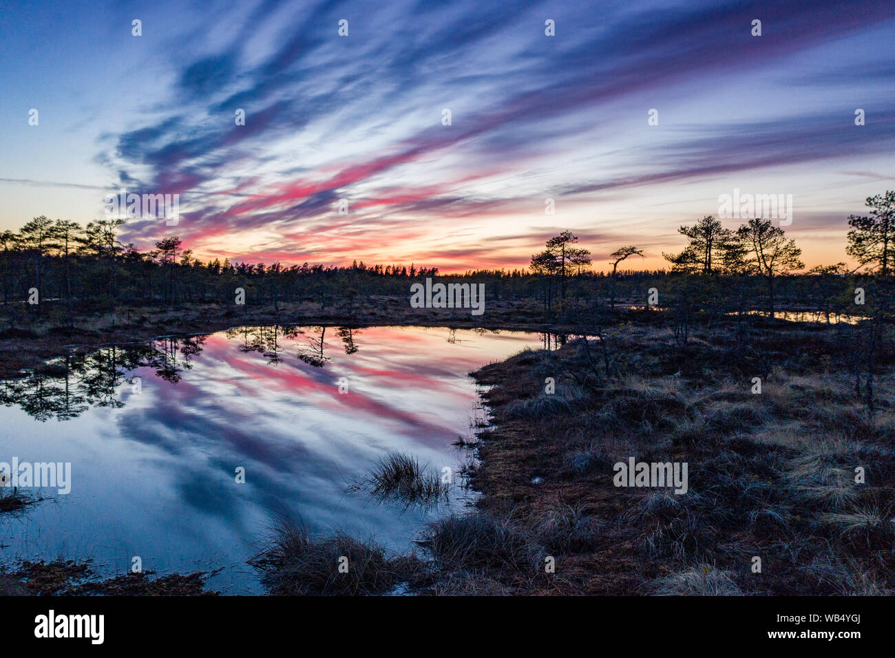 Sunset in the bog, golden marsh, lakes and nature environment. Sundown ...