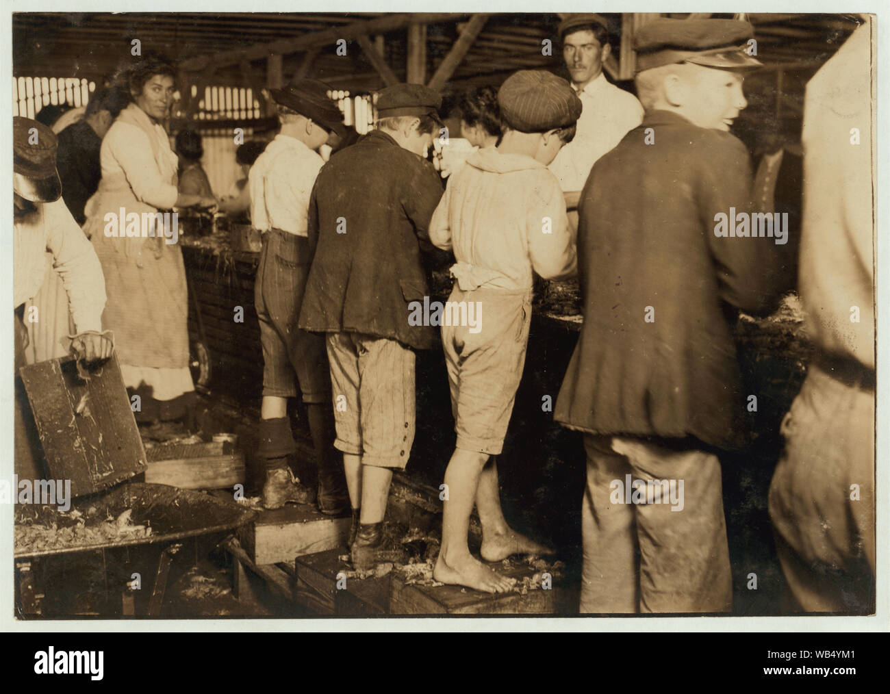 Eight-year-old Max, the youngest shrimp-picker in the photo. Dunbar ...