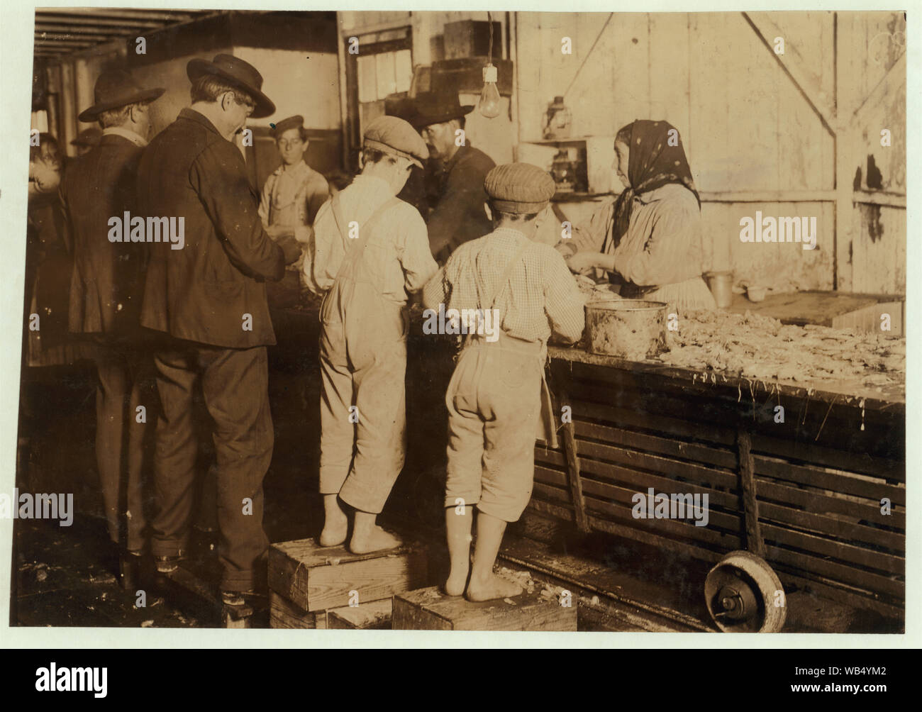 Eight-year-old Max, one of the young shrimp pickers in the Dunbar ...